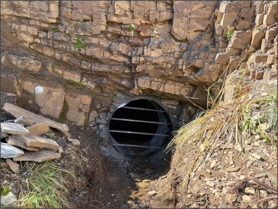 Forest Service to close abandoned mines - News