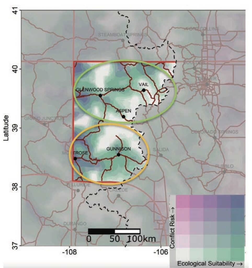 State prepares to reintroduce wolves - News
