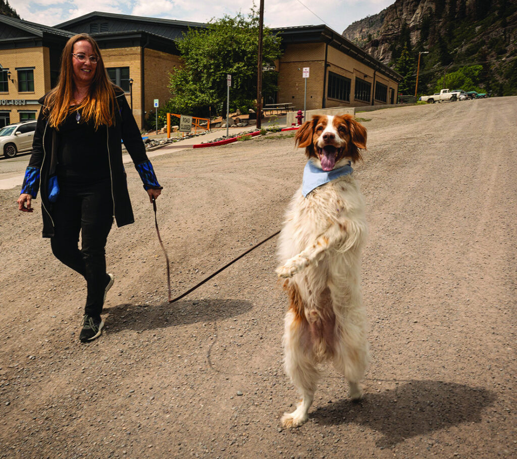 DOGGED DETERMINATION - News