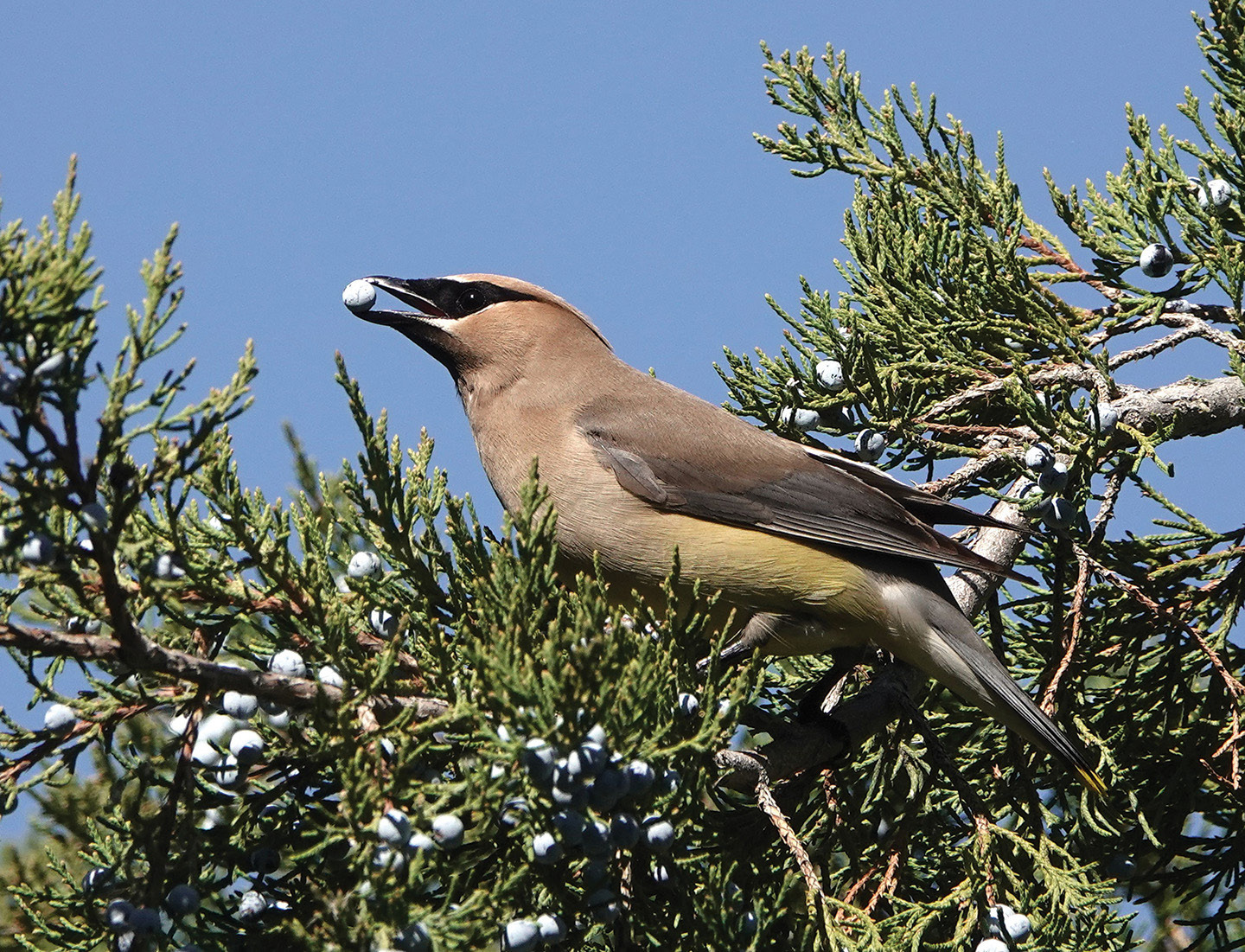 County OKs permit for guest ranch - News