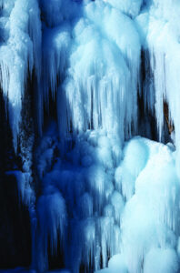 ICE FARMERS GET THEIR CROP - News