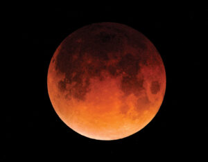Blood moon rising - News